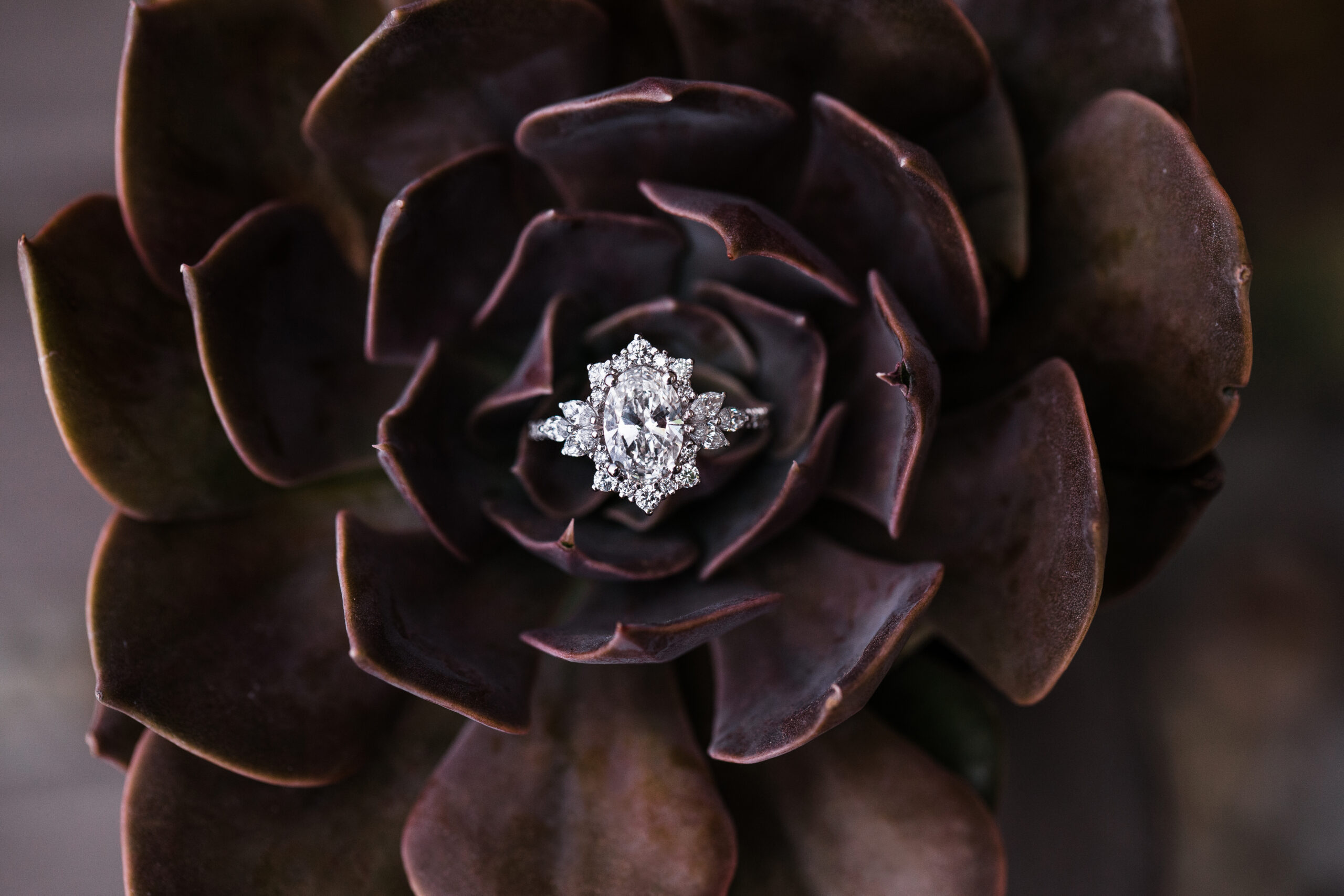 The Advantage of DeVons’ Trade-Up, Warranty Programs - Devons Jewelers